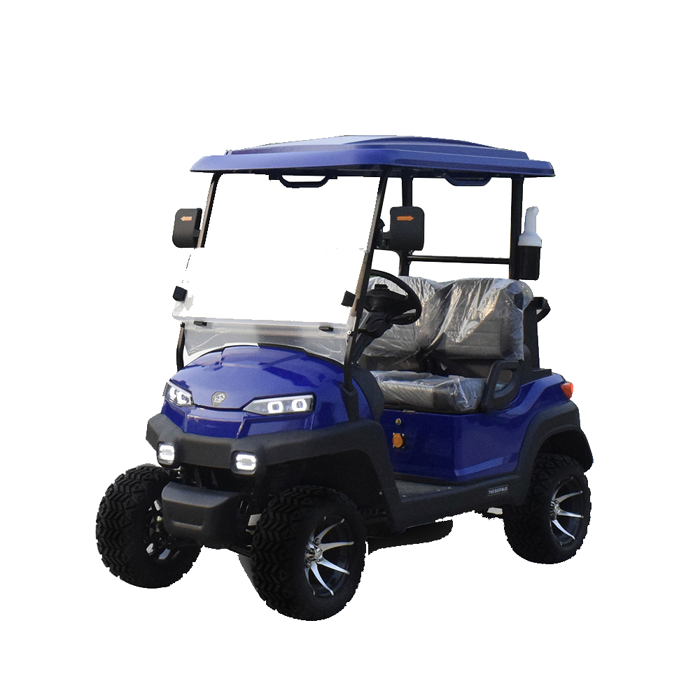 Lead EV|always on the way